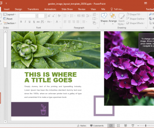 4000+ Free Presentation Templates - SlideHunter.com